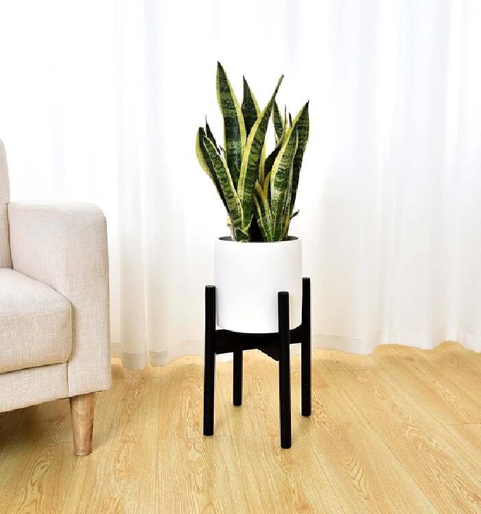 43 Of The Best Plant Stands That’ll Help You Show Off Your Green Thumb | Nestia