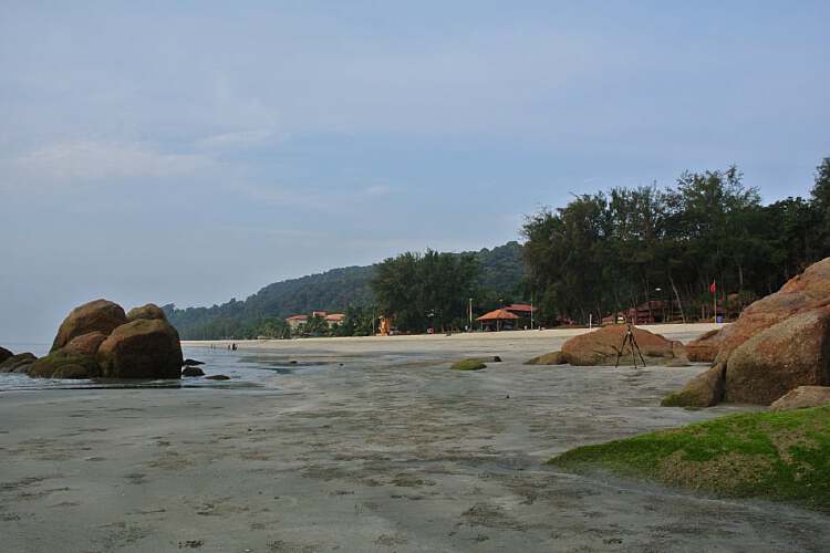 Reasons to visit Teluk Cempedak in Pahang | Nestia