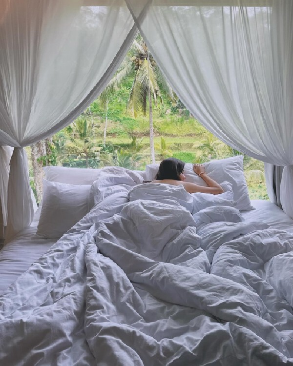 前华姐余思霆大解放公开丛林「裸睡」床照 露出白滑部位狂吸Like | Nestia