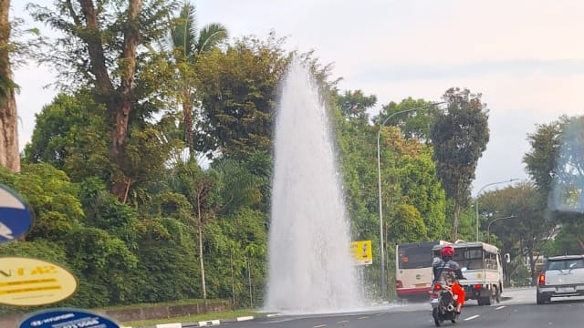 汤申路上段管道泄漏 水柱直冲上天 | Nestia