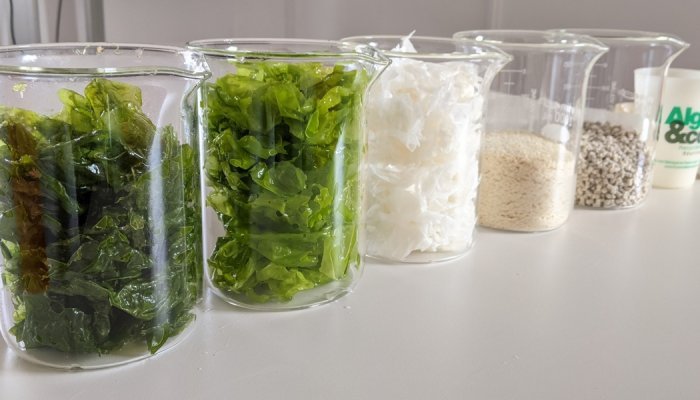 Somater partners with Eranova to create algae-based polymer packaging ...