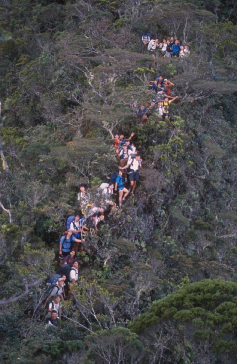 Why Mount Trusmadi is more than just an alternative to Mount Kinabalu ...