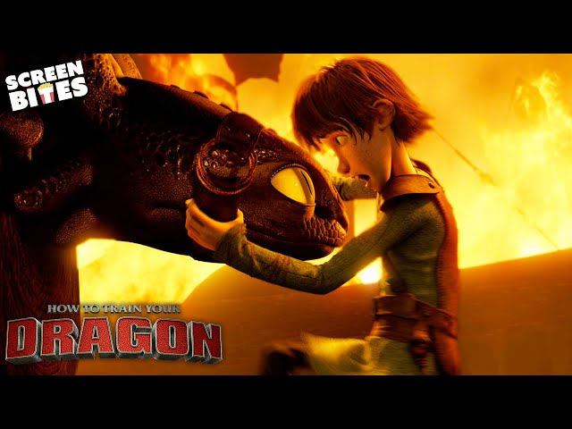 Hiccup Saves Toothless | How To Train Your Dragon (2010) | Screen Bites ...