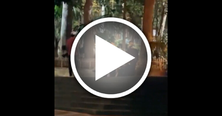 社区公园吹喇叭 情侣惨遭警棒打 | Nestia