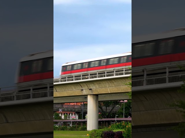 Nature spots around Singapore MRT stations | Nestia