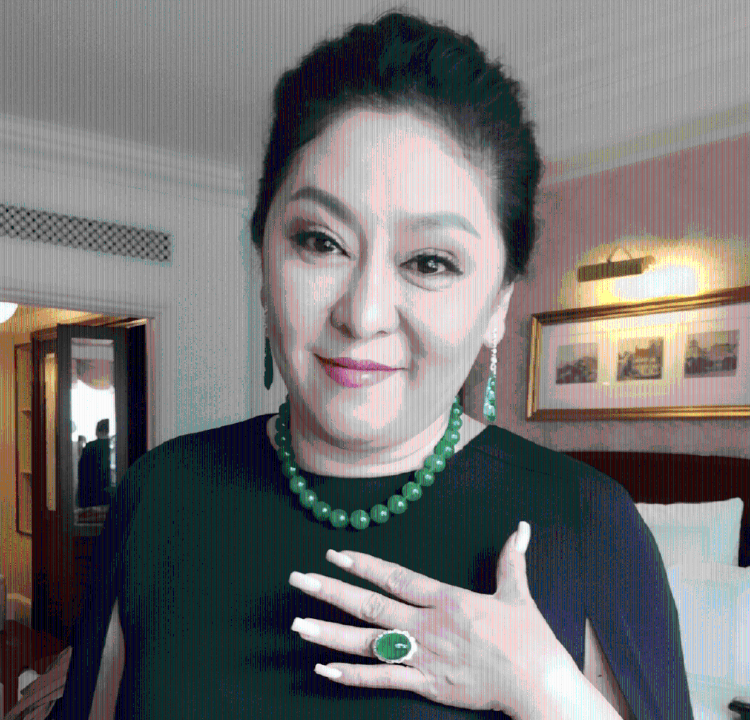 向太自曝疑遇AI电信诈骗 对方用了儿子向佐的脸 | Nestia