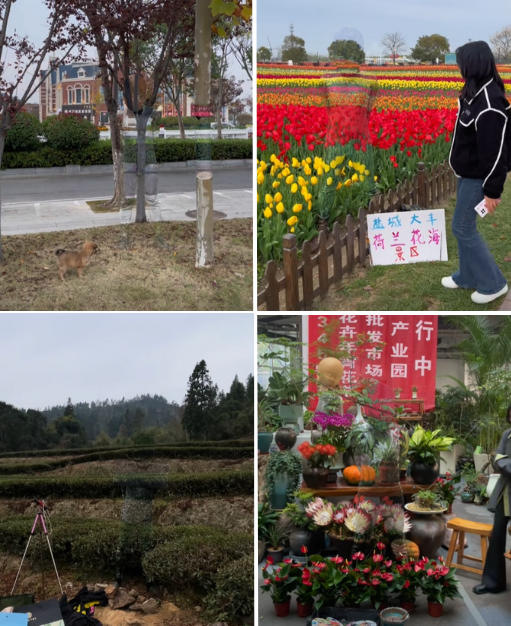 This Painter In China Can Seamlessly Blend Himself Into Nature Using Body Paint | Nestia