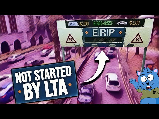 The History of ERP 1.0 Summarised in Perfect Singlish | Nestia