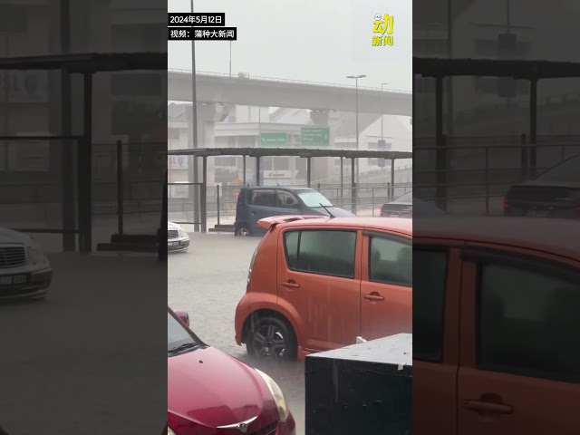 动新闻｜蒲种又又又水灾！！ | Nestia