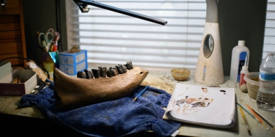 US restorationist solves 60-million-year-old dinosaur fossil ‘puzzles ...