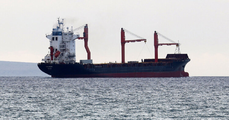 U.S. Military Installs Temporary Pier in Gaza for Humanitarian Aid | Nestia