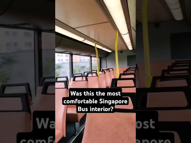 Thick comfy seats on the older Singapore Buses! | Nestia