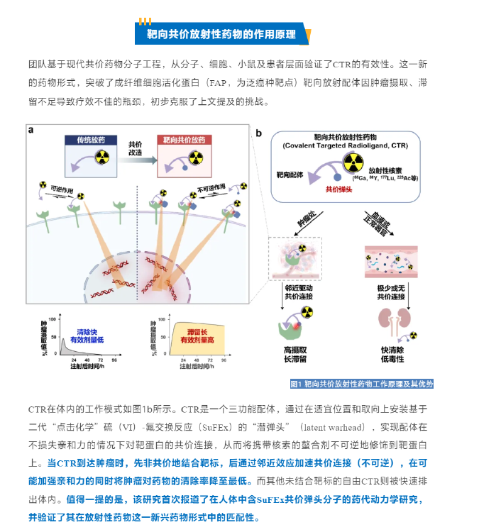 近50年来首篇！《自然》刊发北大团队核药物设计领域成果 | Nestia