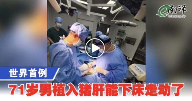 【视频】世界首例 71岁男植入猪肝能下床走动了 | Nestia