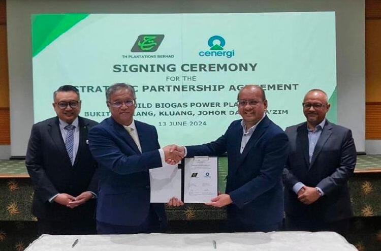 TH Plantations partners Cenergi SEA to develop biogas power plant in ...