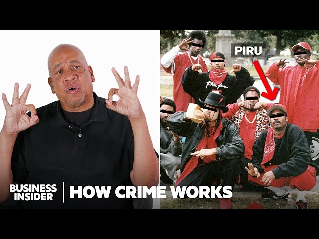 How The Bloods Gang Actually Works | How Crime Works | Insider | Nestia