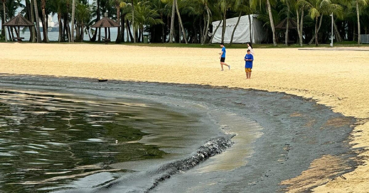 All beaches in Sentosa kena oil spill after spill near pasir panjang ...