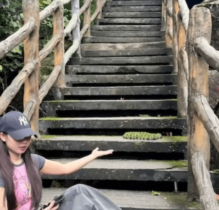 女生遇「身价500万」毒蛇忘形打卡 「蛇中大熊猫」咬1口7步倒 | Nestia