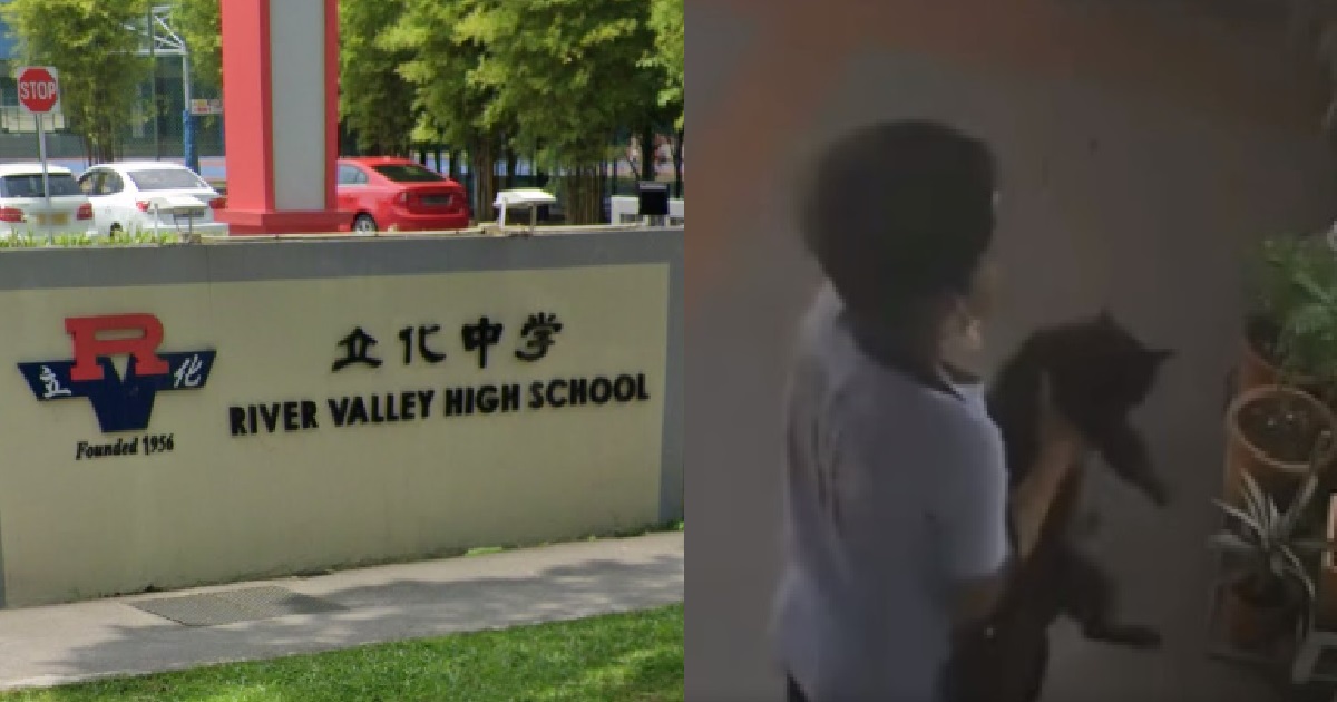 NETIZEN COMPARES BOON LAY CAT-KILLER TO RIVER VALLEY HIGH AXE-MURDERER ...