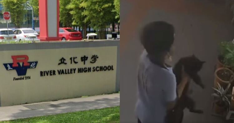 NETIZEN COMPARES BOON LAY CAT-KILLER TO RIVER VALLEY HIGH AXE-MURDERER ...