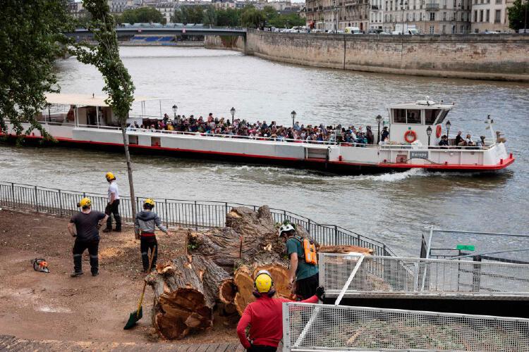 Seine water quality improves ahead of Paris Olympics: tests | Nestia