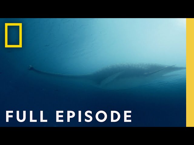 Secrets of Loch Ness (Full Episode) | Drain the Oceans | Nestia
