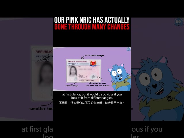 Our pink NRIC has actually gone through many changes! | Nestia