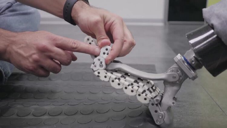 Prototype prosthetic mimics the structure of human feet | Nestia