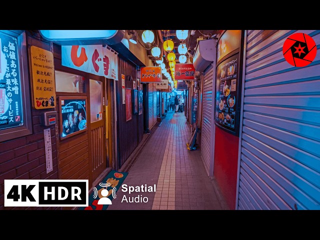 Wandering Hokkaido's famous red light District on a cold winter's night - 4K HDR | Nestia