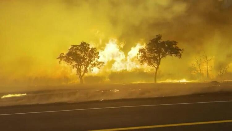 California fire rapidly reaches State's top 10 biggest ever | Nestia