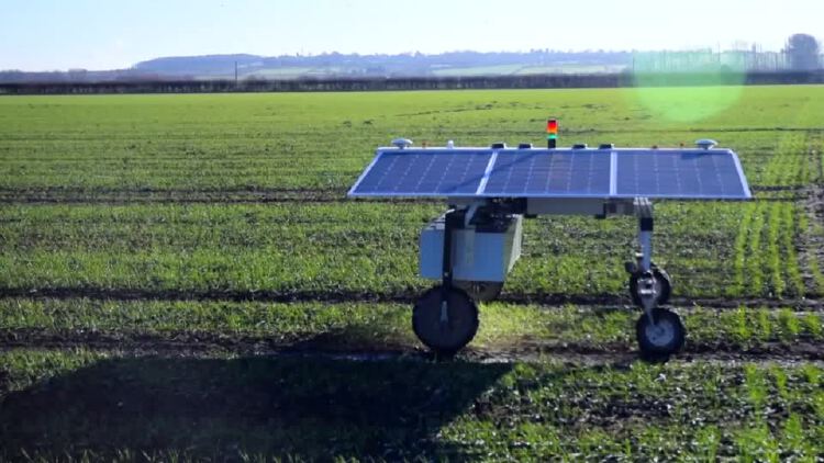 This robot uses ai to zap weeds without harming crops | Nestia