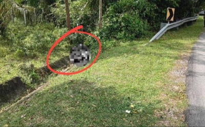 How the Malaysian police’s DNA databank helped identify a headless body ...