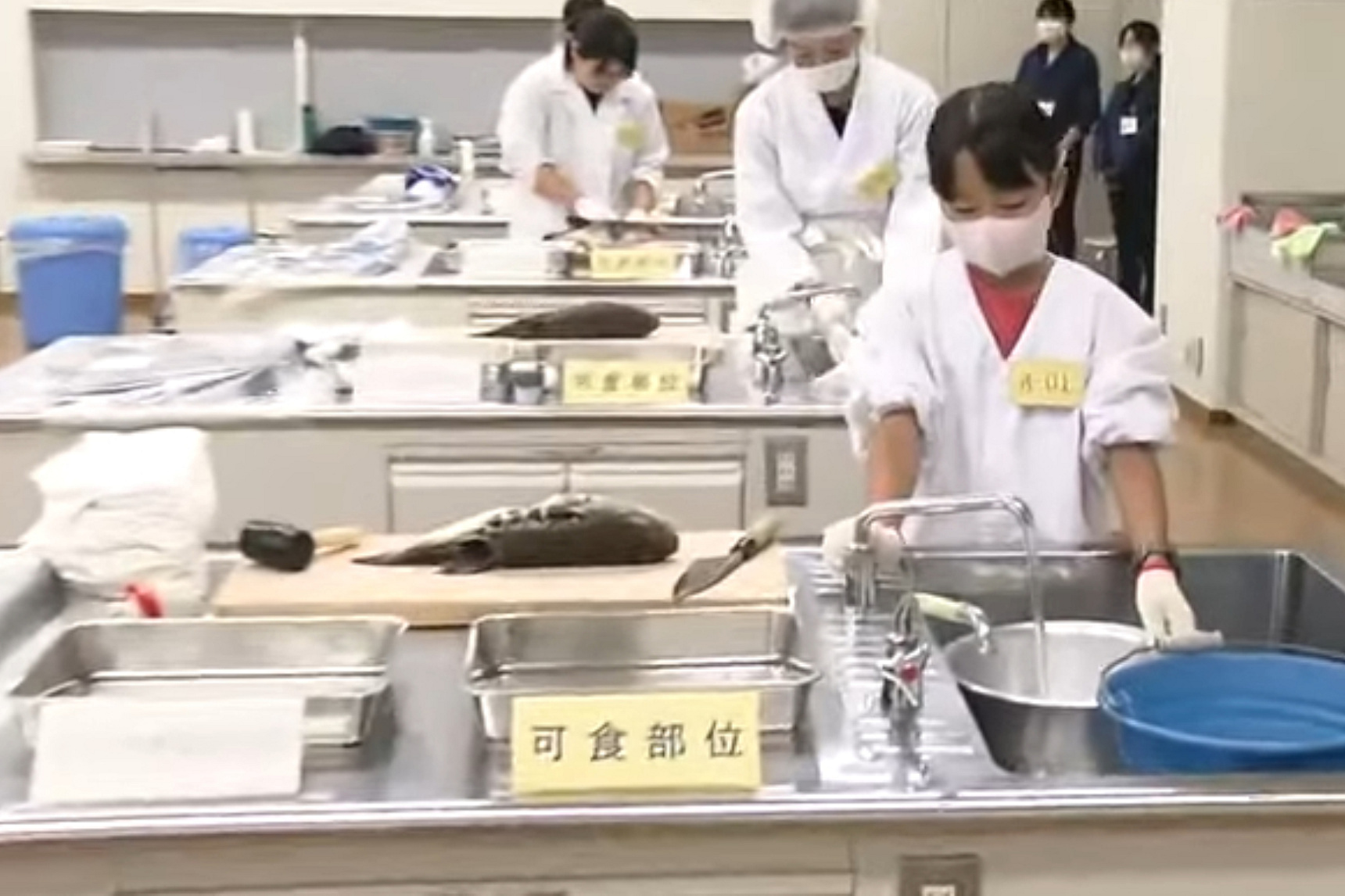 10-year-old becomes Japan’s youngest licensed slicer and gutter of ...