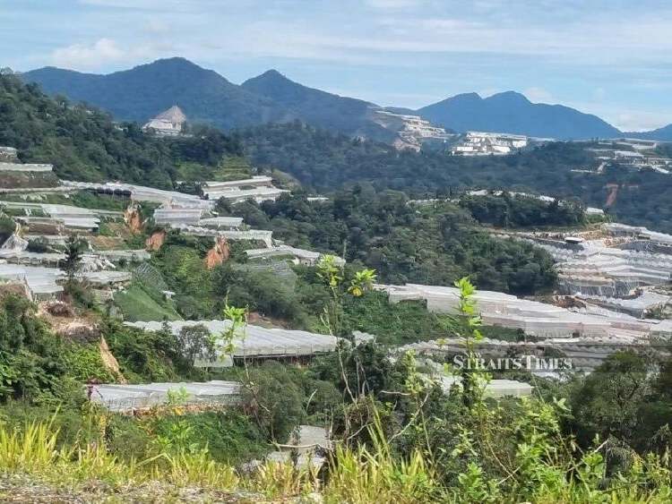 Rivers remain polluted despite stop-work orders in Lojing Highlands ...