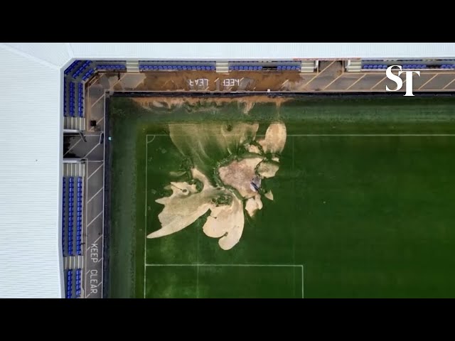 Sinkhole swallows part of football field in London | Nestia