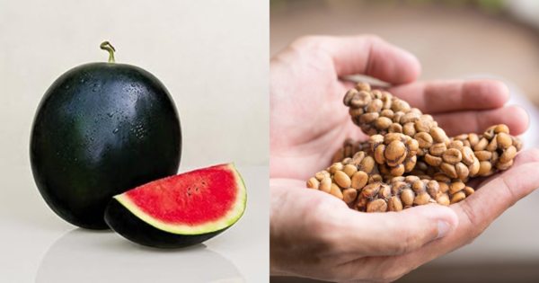 Here Are The 10 Most Expensive Luxury Foods In The World | Nestia