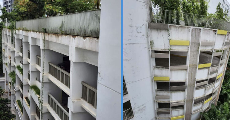 The Mystery of Why Some Sengkang & Punggol HDB Flats Have Mould-Stained ...
