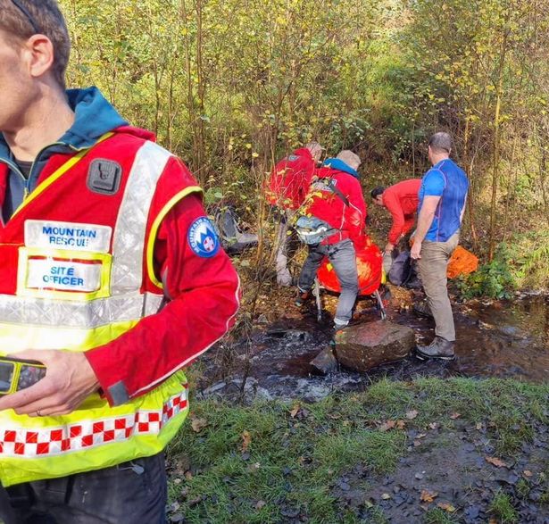 Peak District rescuers save stranded sheep after it got stuck on cliff ...