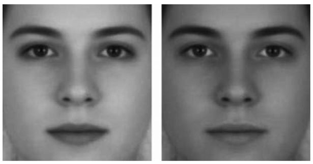 Four disturbing optical illusions will reveal the inner workings of ...