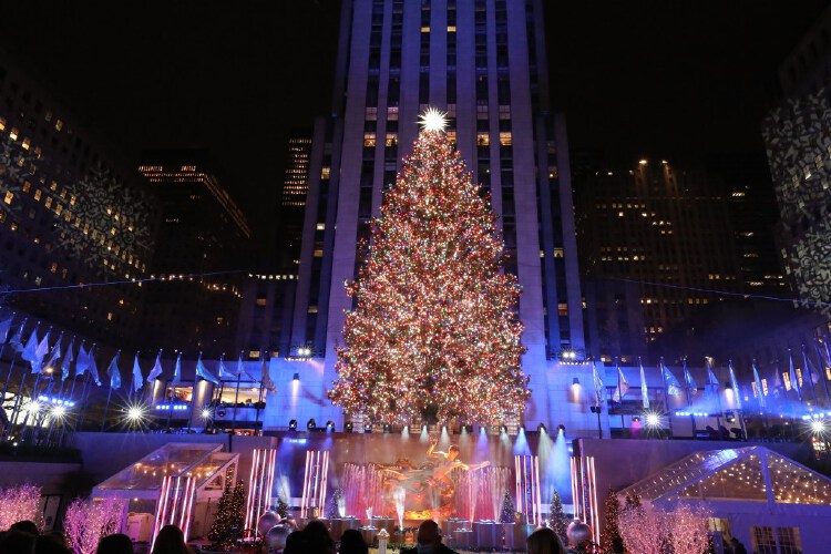 Rockefeller Center Christmas tree unveiled: 70-year-old Norway spruce ...