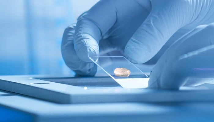 Towards 3D-printed skins ever closer to human models | Nestia