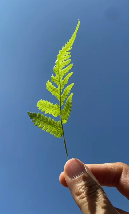 “曾期待过一个生命”！黄翠如亲揭「流产经历」⚡3年前停工PO文『疑悼念』孩子！ | Nestia