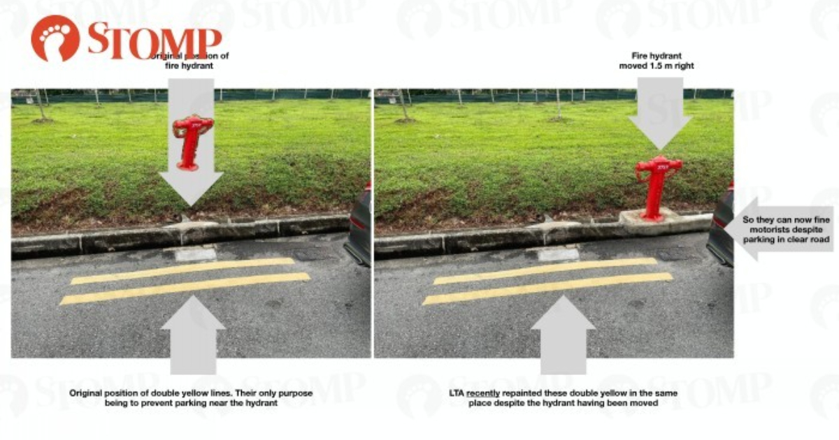 Car owner ticketed for parking near hydrant claims victory after yellow ...