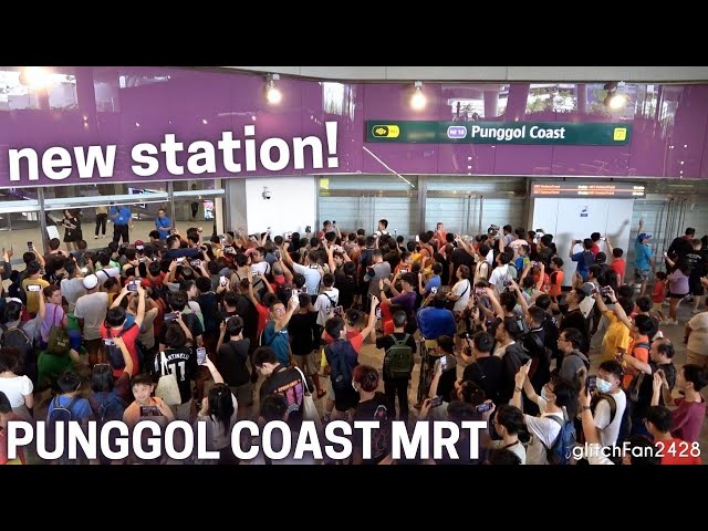 You Won't Believe the HYPE Surrounding Punggol Coast MRT Station! | Nestia