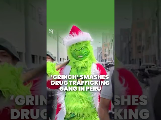Police officer dressed as the Grinch leads successful drug bust ...