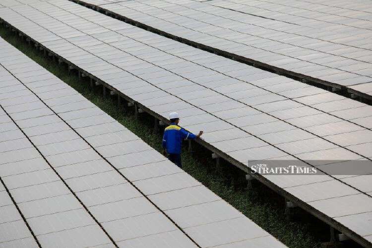 Green electricity tariff programme to continue in 2025 | Nestia