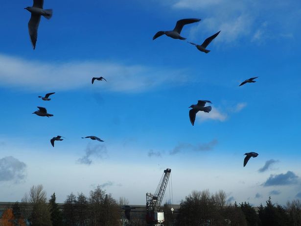 Tiny strip of water where people try to catch the elusive fish ‘as big ...