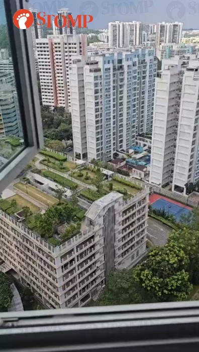 Students engage in 'extracurricular activities' at Bukit Batok rooftop garden in broad daylight ...