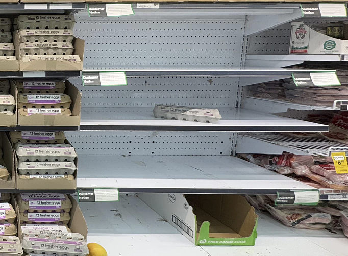 澳洲再现“鸡蛋荒”！Woolies货架被扫空，Coles部分门店重启限购令（图） | Nestia