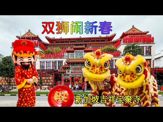 双狮闹新春，新加坡兀兰镇 吉祥宝聚寺 2025农历蛇年 迎春活动之一。BW Monastery (Singapore Woodlands Drive 16) CNY Lion Dance ...